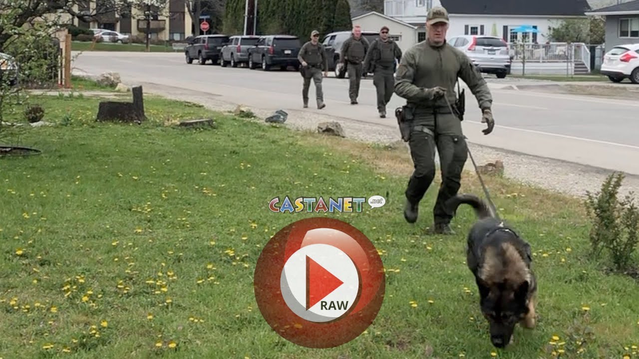 K9 unit in training - YouTube