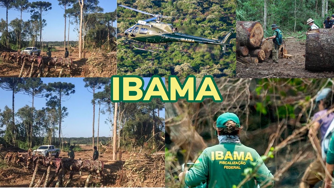 IBAMA - Instituto Brasileiro do Meio Ambiente e dos Recursos Naturais e ...