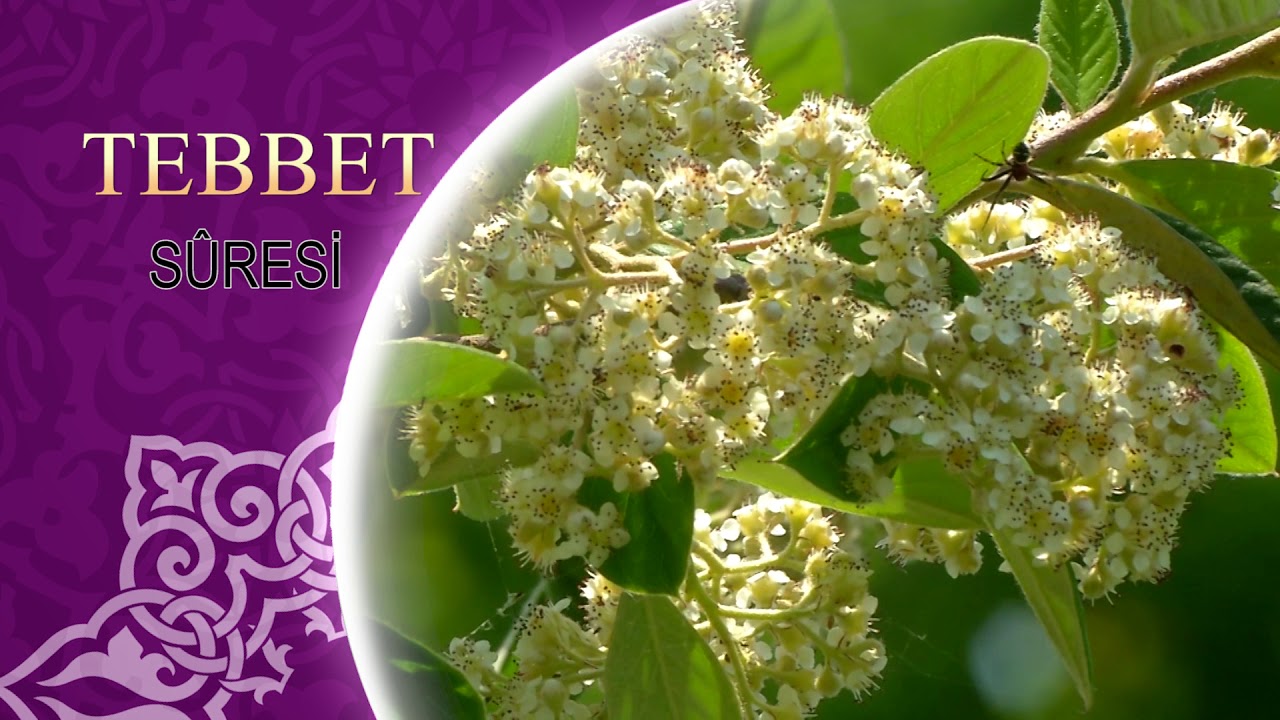 Tebbet Surah: The Terrifying Destiny of Disbelievers - YouTube