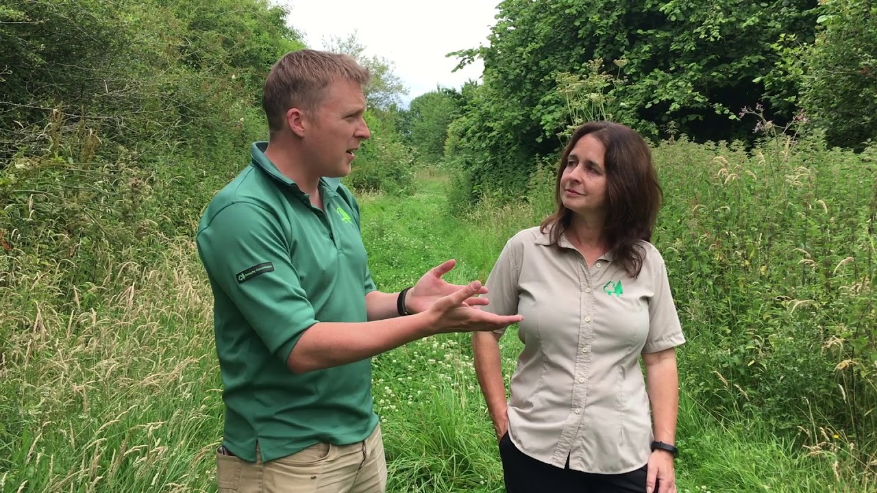 Designing a new woodland? Open habitat design is vital to attract ...