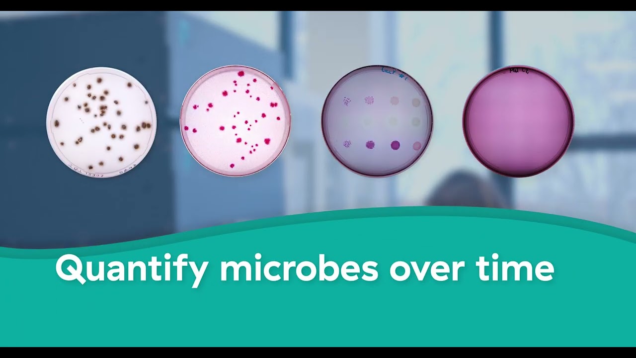 Reshape Imaging System: Watch your microbes grow in real time - YouTube