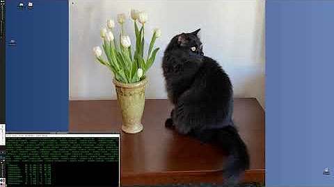 R - tidyverse approach (2020) - YouTube