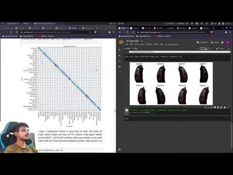Let's try Image Classification on Fruits 360 dataset from Kaggle | DL | FastAI course - YouTube