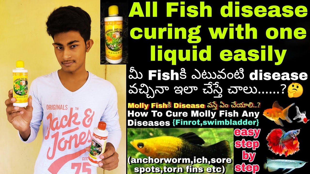 How to treat disease for fish using Oceanfree Yellow liquid : Fish ...