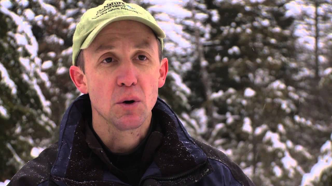 Meet the Scientists: Bill Patterson - YouTube