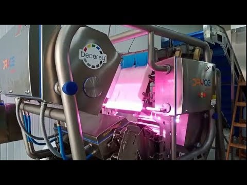 Dryce optical sorting machine for frozen french fries | RAYTEC VISION ...