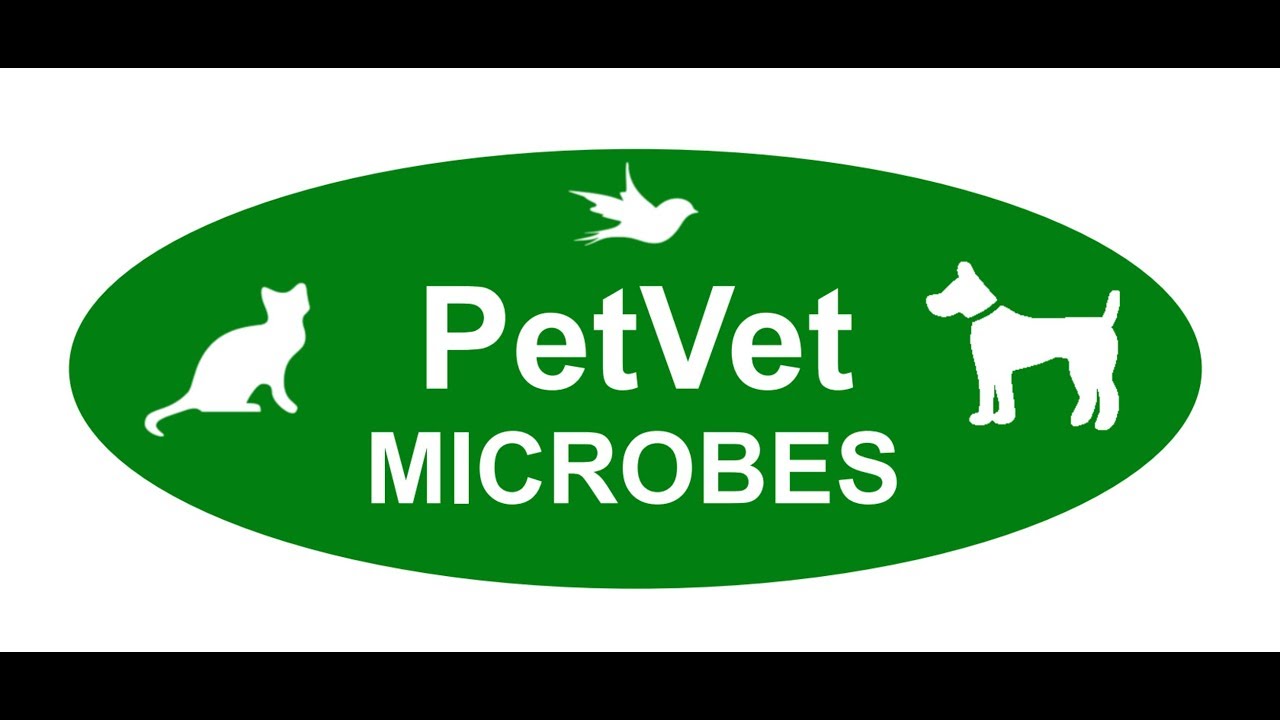 Pet Vet Microbes - YouTube