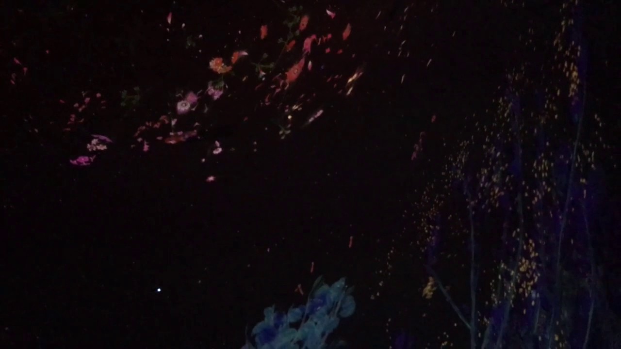 Glass Rotunda: Story of the Forest (exhibition at National Museum ...