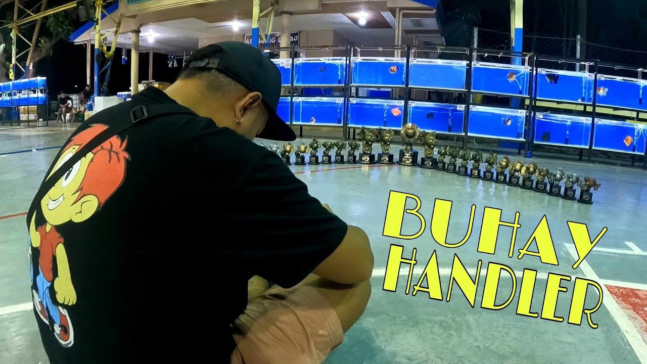 EP251. BUHAY HANDLER | ARAW NG DAVAO NATIONAL GOLDFISH SHOW 2024 - YouTube