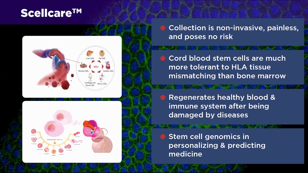 Transcell Biolife Ad - YouTube