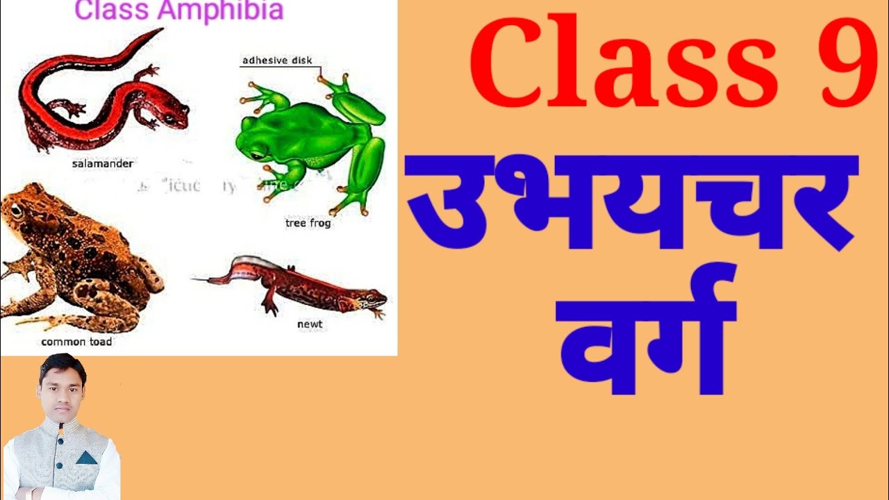 amphibia class 9 ( उभयचर वर्ग) vedio 84 - YouTube