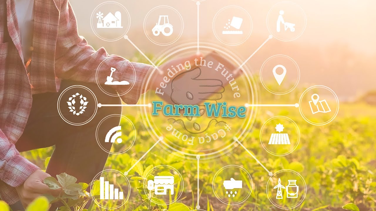 Farm Wise - Pitch do projeto | FIAP | Global Solution - YouTube