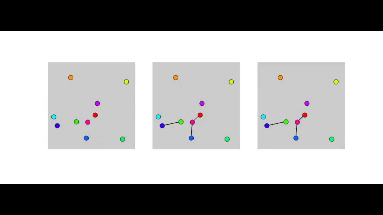 dynamic physical system, spring connections (late training) - YouTube