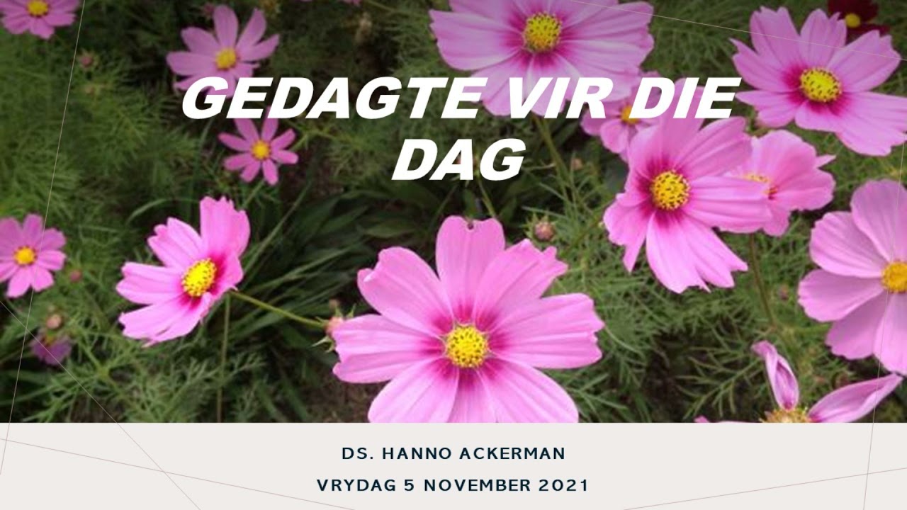Gedagte vir die dag | Vrydag 5 November 2021 - YouTube