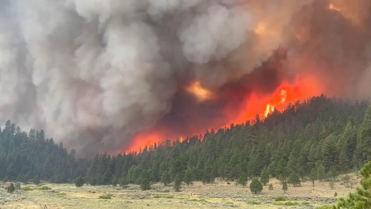 Falls Fire grows near FSR 31, July 17 - YouTube