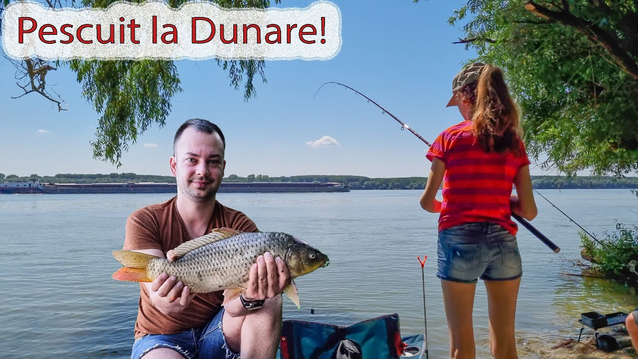 Pescuit la Dunare!🎣 Am pescuit la Feeder si la Crap salbatic pe Dunare ...
