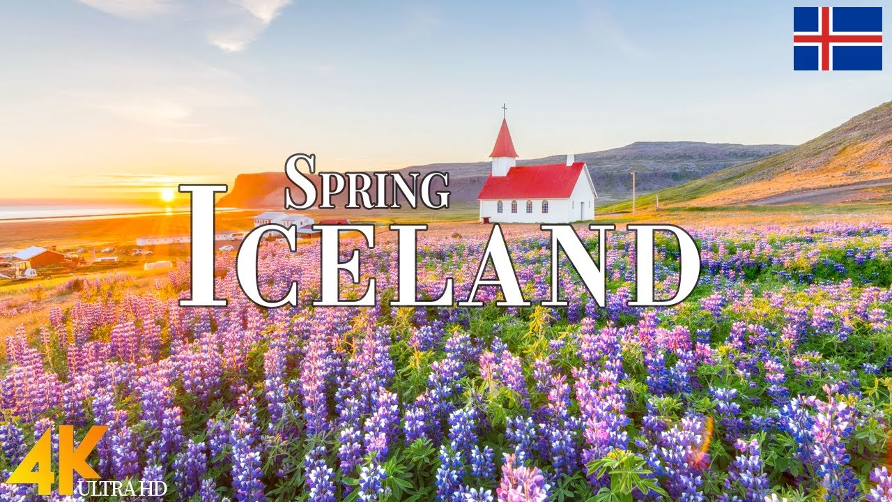 Spring Iceland 4K Ultra HD • Stunning Footage Iceland, Scenic ...