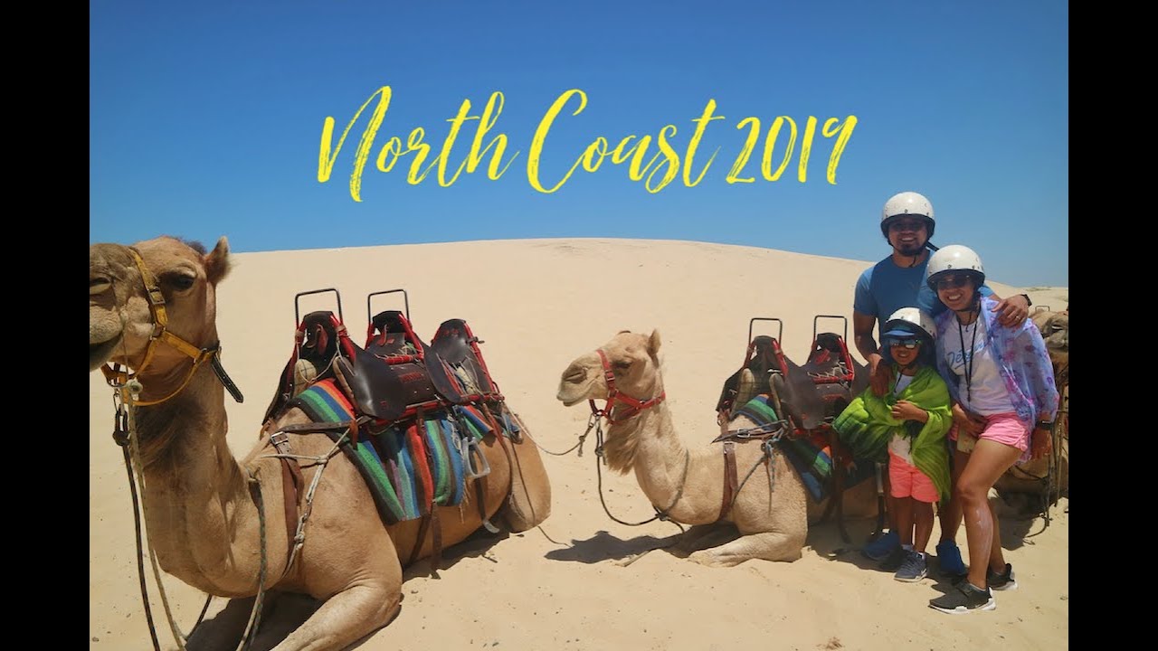 CAMEL RIDE | CAVES BEACH I BIRUBI BEACH I REDHEAD BEACH I NEWCASTLE ...