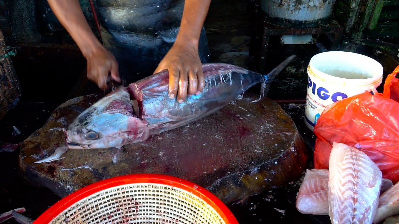 ACEHNESE SEAFOOD🔪🔥 || SKIPJACK FISH CUTTING 2024 BY EXPERT FISH CUTTER ...