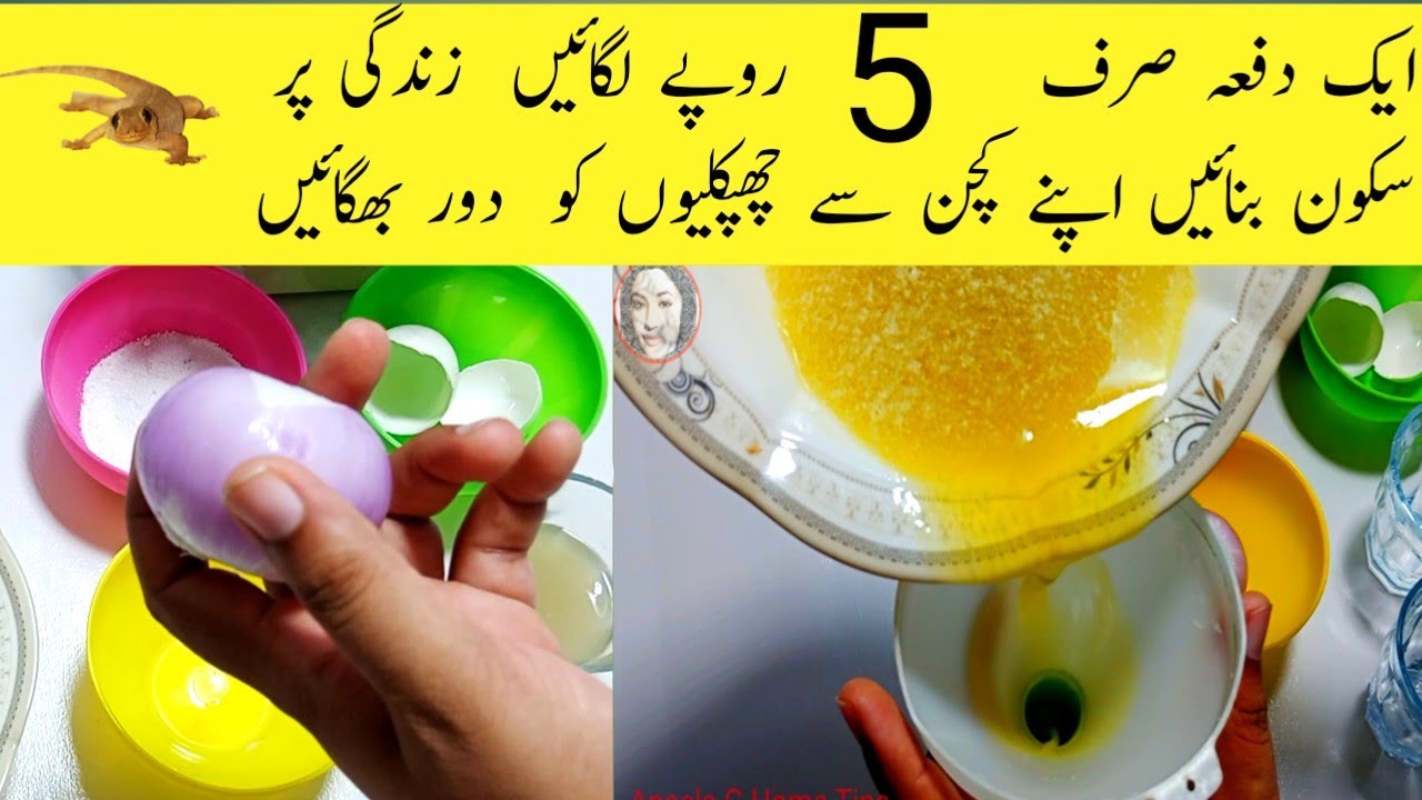 how to get rid of lizards permanently at home - chipkali bhagane ka ...