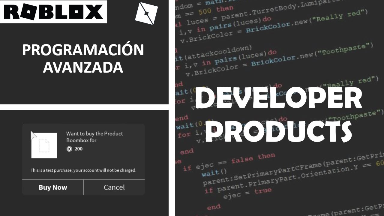 PRODUCTOS DE DESARROLLADOR | DEVELOPER PRODUCTS | PROGRAMACIÓN AVANZADA ...