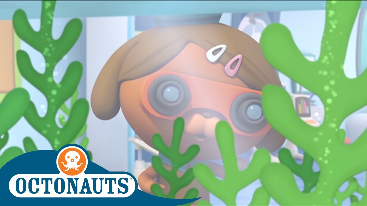 Octonauts - Finding Leafy Seadragons | Cartoons for Kids | Underwater ...