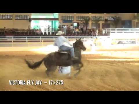 Victory Fly VM WV - YouTube