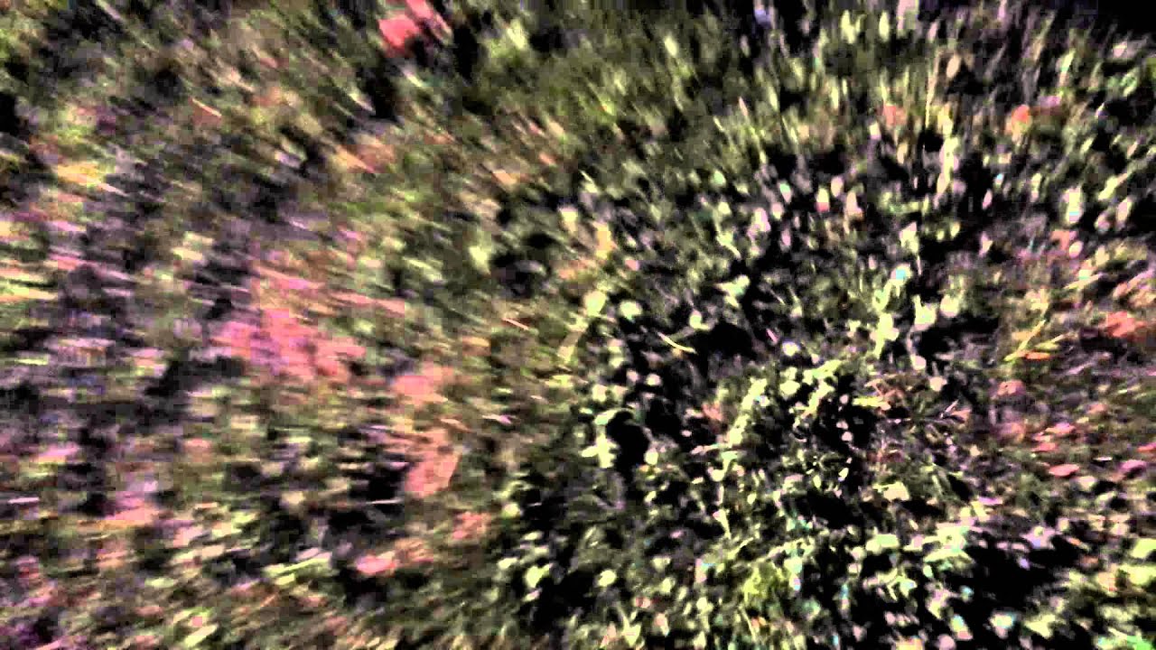 Grass Fight - YouTube
