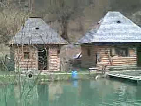 Pastravaria Alex - YouTube