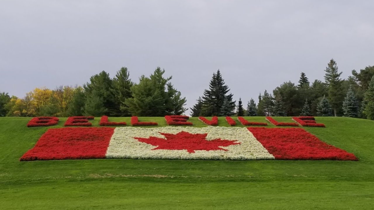 Belleville Floral Flag Planting Timelapse - YouTube