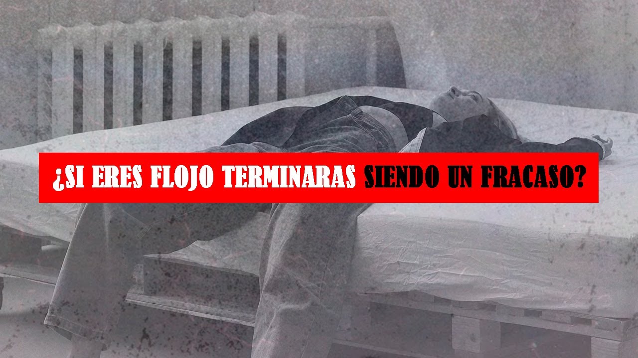 Ser flojo NO ES SINONIMO DE FRACASO 😏 - YouTube