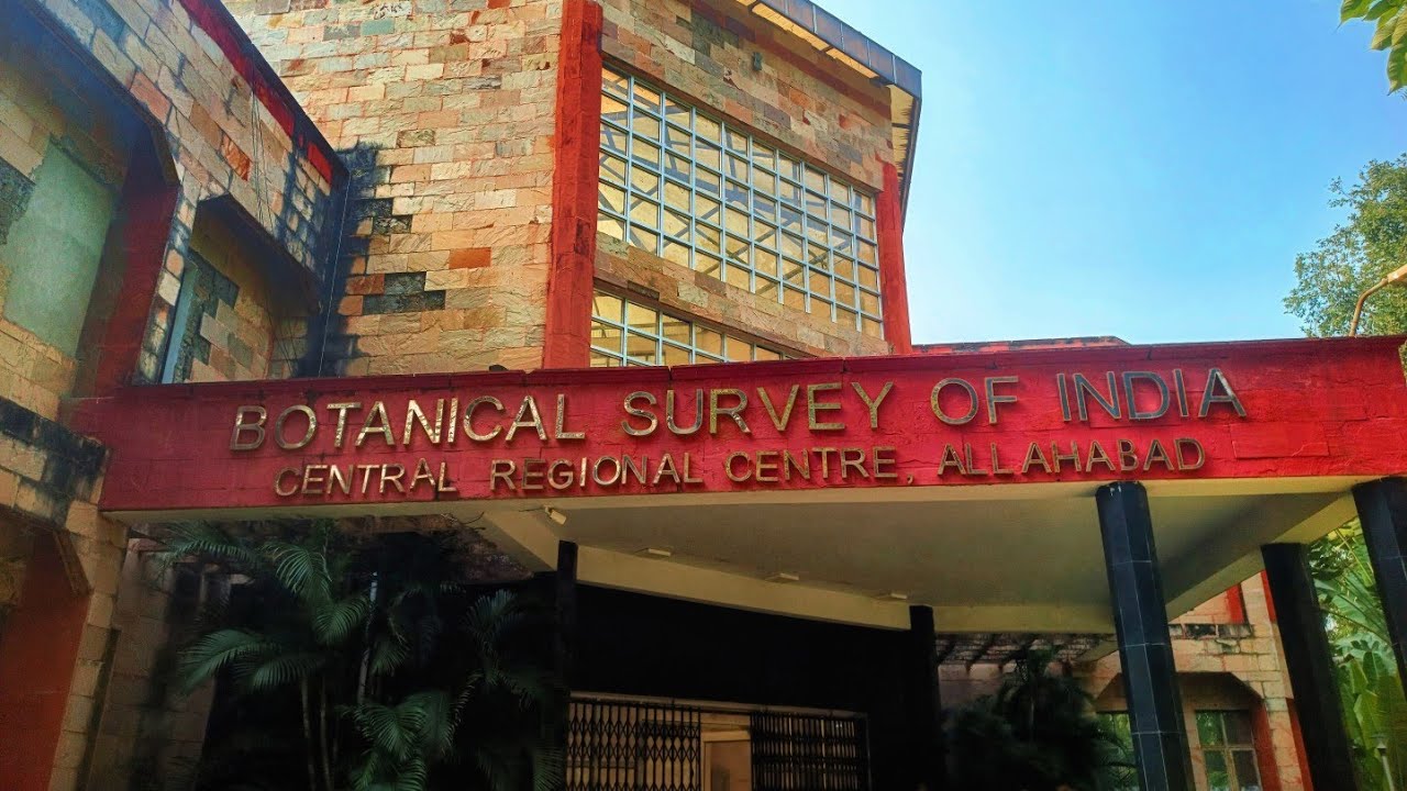 Botanical Survey of India Allahabad - YouTube
