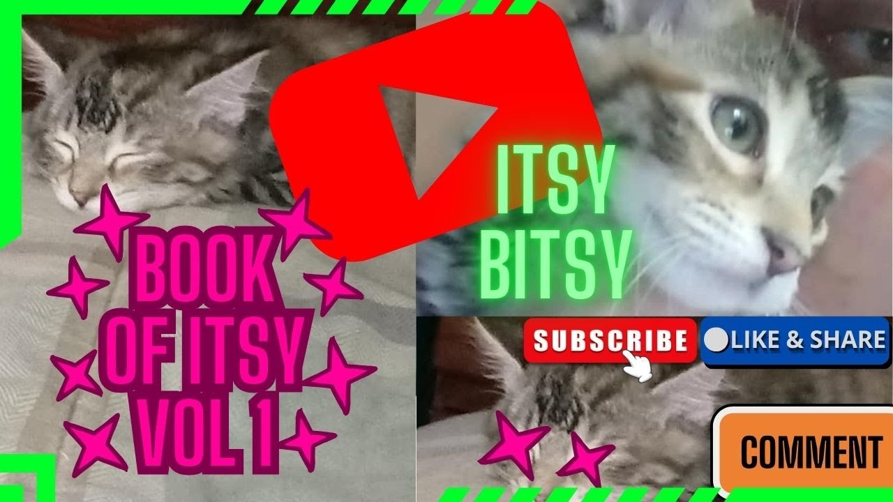 Book of Itsy Vol 1 - YouTube