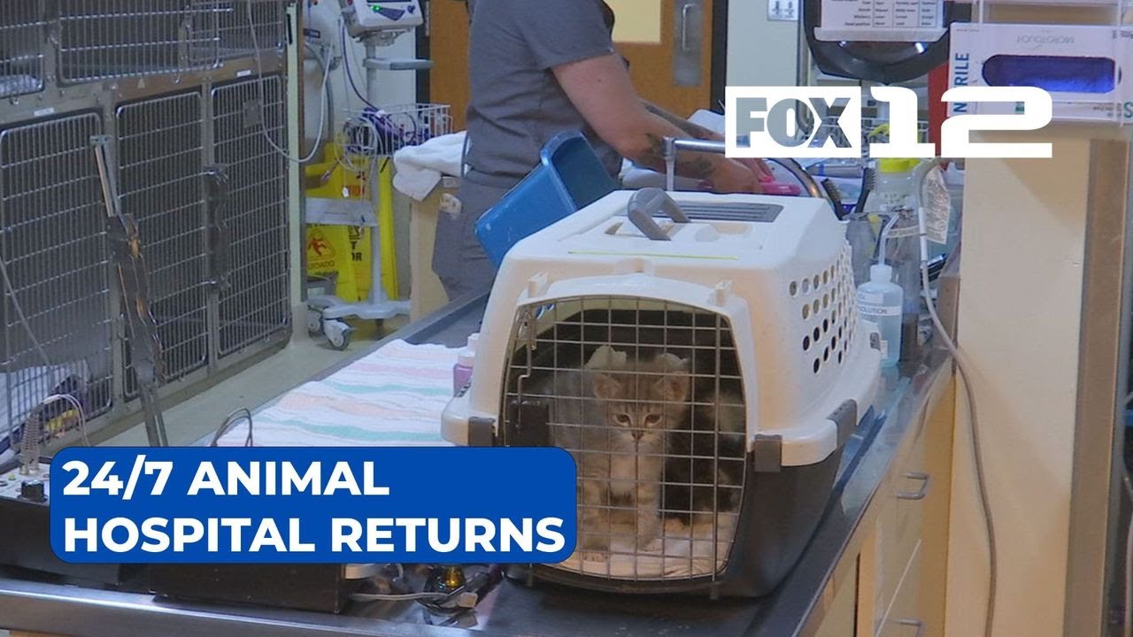 Around the clock care returns to DoveLewis Animal Hospital - YouTube