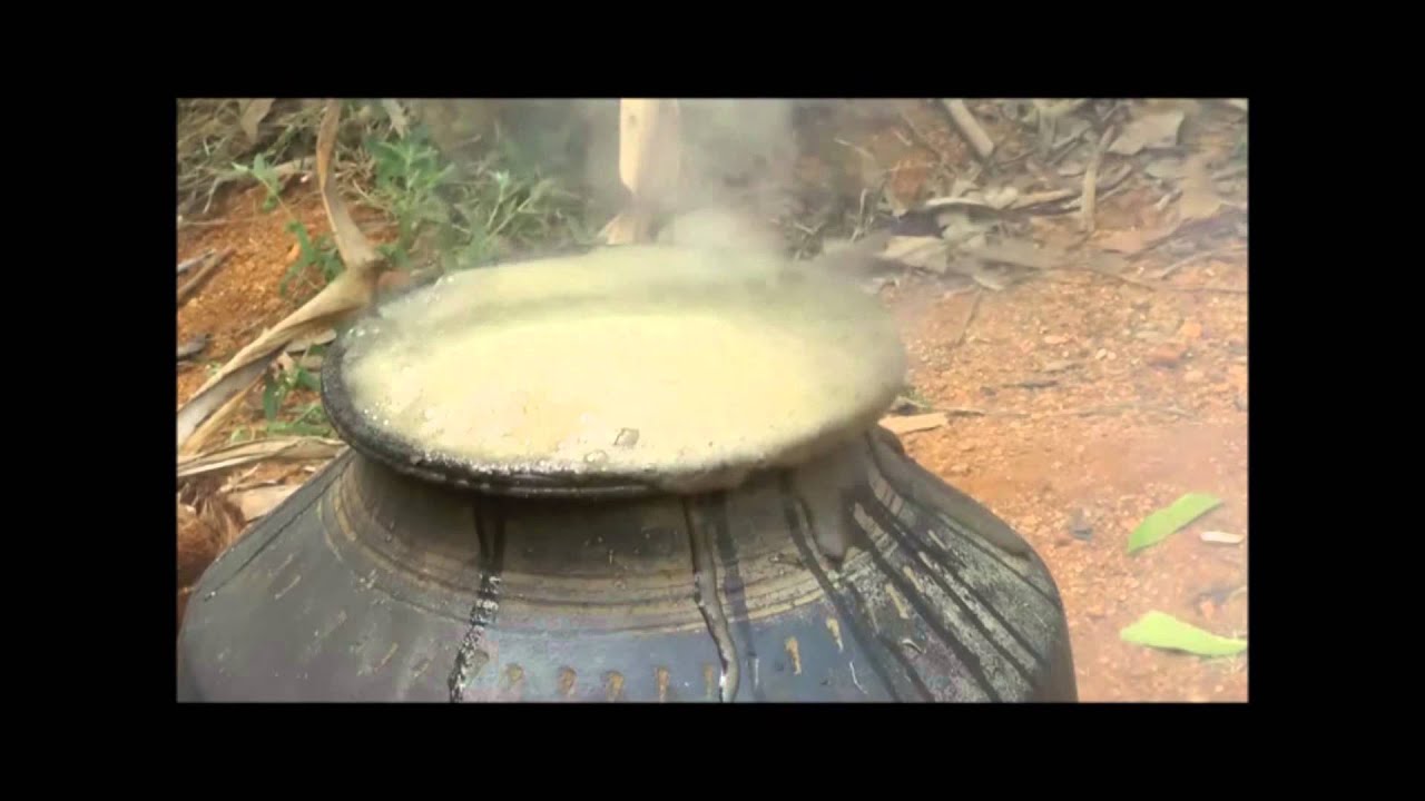 Garlic Extract preparation_Anantapur_SERP-CMSA & digital GREEN, A.P ...