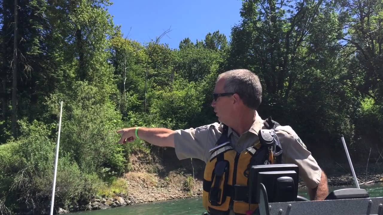 The Deadly Root Ball In The Willamette River - YouTube
