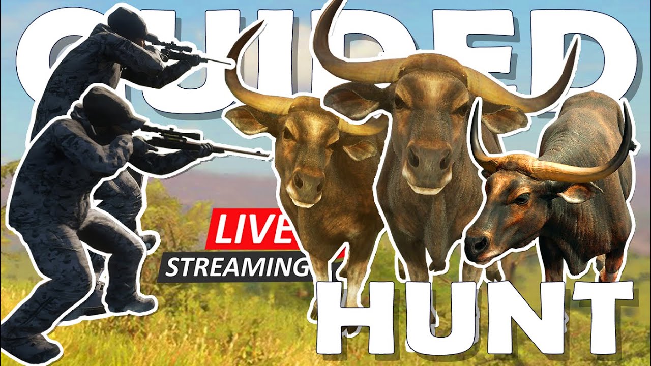 GUIDED DIAMOND HUNT with VIEWERS!!! - We are LIVE!!! - YouTube