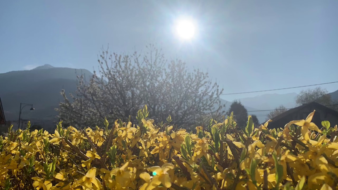 Par une belle journée ensoleillée 🌝👍😊 - YouTube