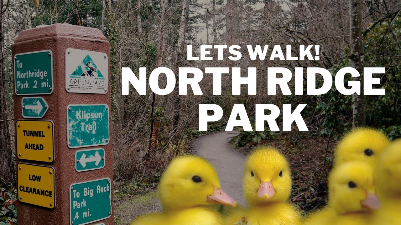 Let's Walk North Ridge Park in Bellingham WA (WITH Ducks!) - YouTube