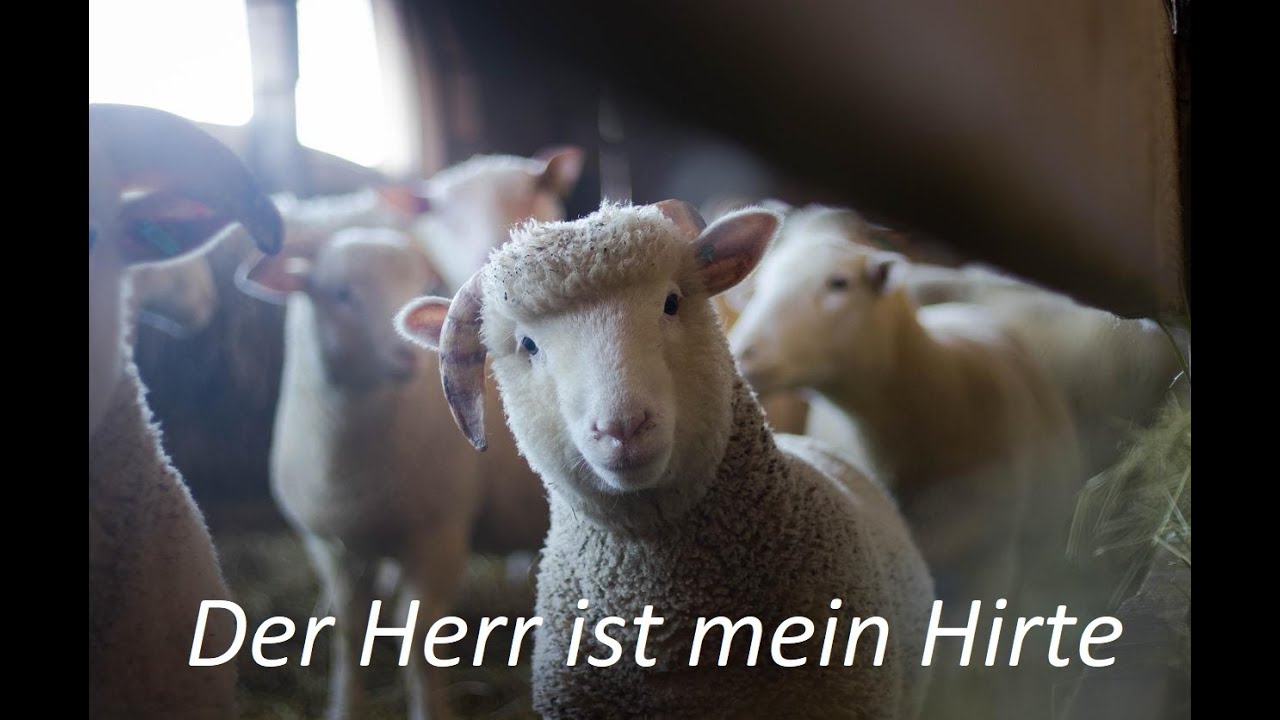 Der Herr ist mein Hirte - komponiert und gespielt von Heidrun Hamp ...