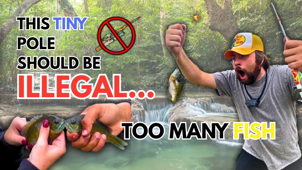 This Tiny Pole Should Be ILLEGAL - YouTube
