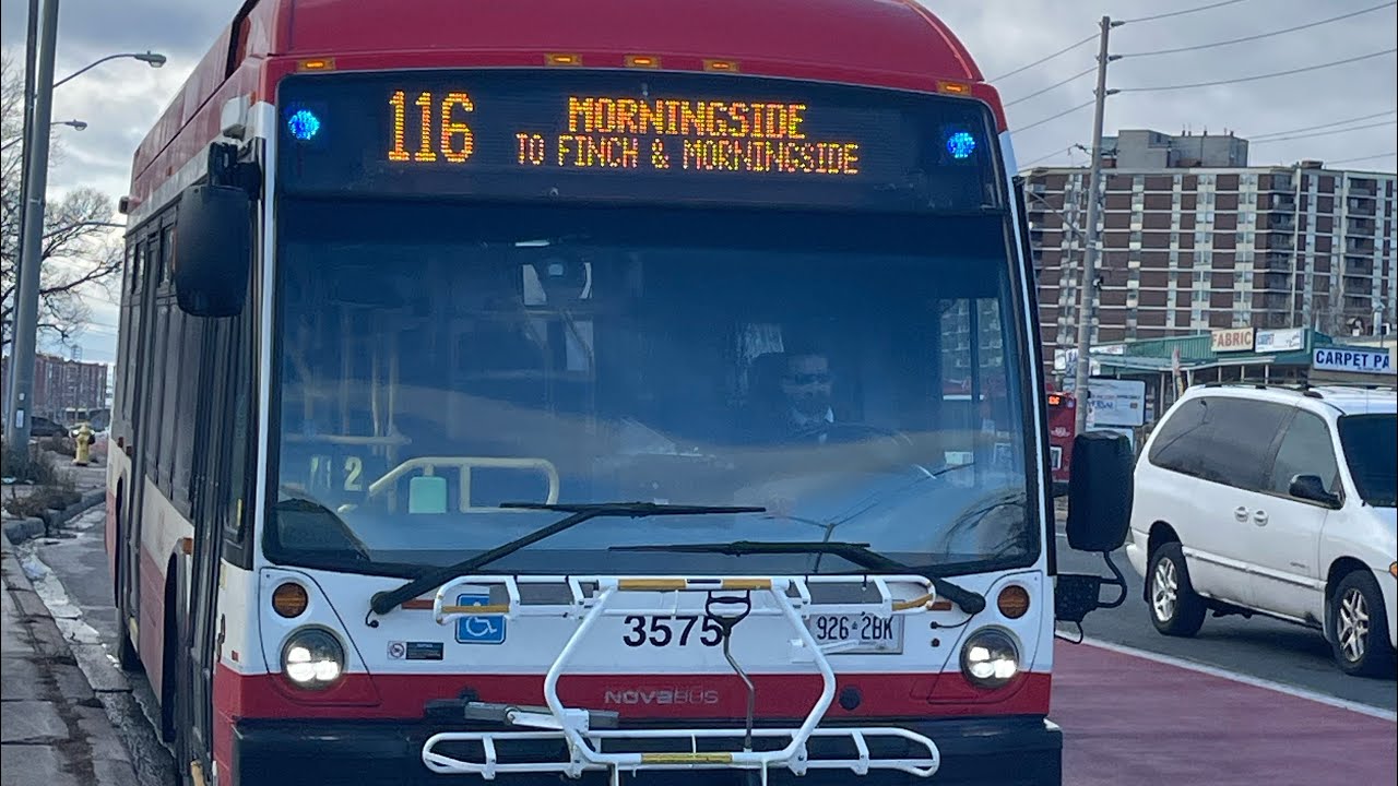 TTC Bus Ride Nova Hybrid 2019 3575 116 Morningside From Bellamy Road ...
