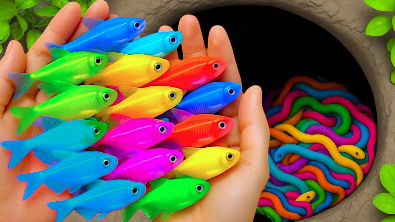 Awesome Catch Beautiful Aquarium Fish In Giant Colorful Eggs, Pencil ...