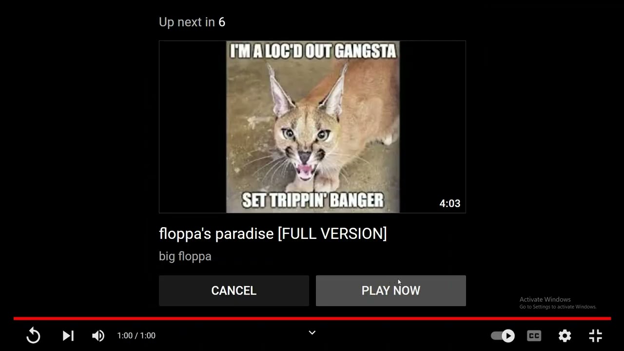 Floppa Music Compilation - YouTube