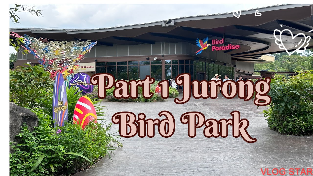 Asia’s Largest Bird Park #birdparadise #singapore #place #dayinmylife # ...