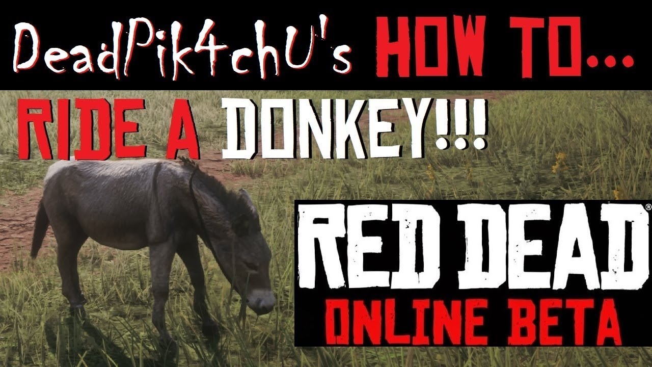 How to Ride a Donkey!!! | deadPik4chU's Red Dead Redemption 2 - YouTube