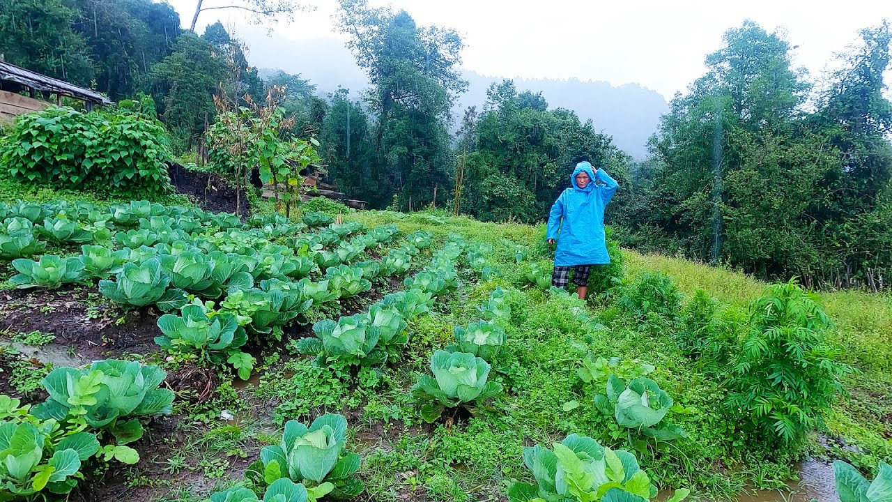 village natural life || village farming in rural Nepal || Life in rural ...