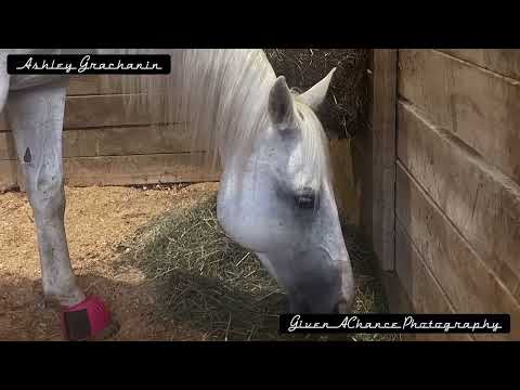 The Great Stoneboro Fair 2022 (PA) - YouTube