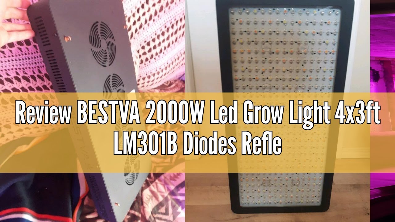 Review BESTVA 2000W Led Grow Light 4x3ft LM301B Diodes Reflector Full ...