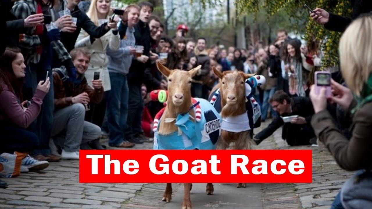 This goat race supports a local farm | Time Out London - YouTube